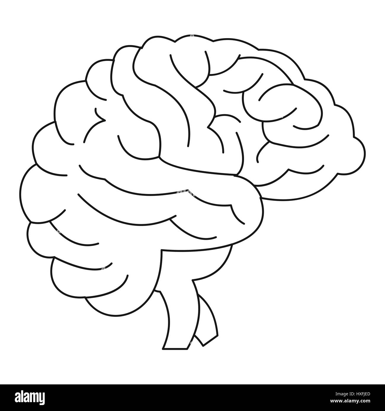 Brain icon, outline style Stock Vector Image & Art - Alamy
