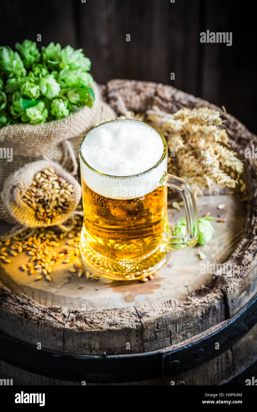 Cold light beer with foam, hops and wheat Stock Photo - Alamy