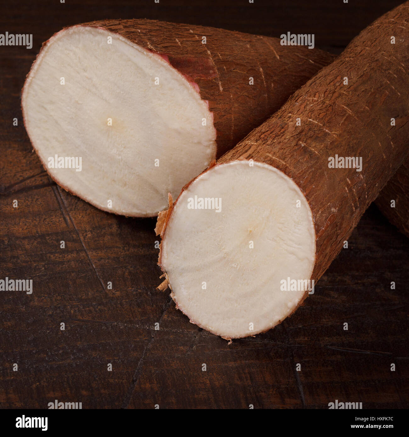 Manihot esculenta (cassava, yuca, manioc, mandioca, Brazilian arrowroot ...