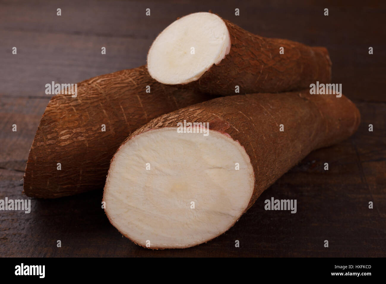 Manihot esculenta (cassava, yuca, manioc, mandioca, Brazilian arrowroot ...