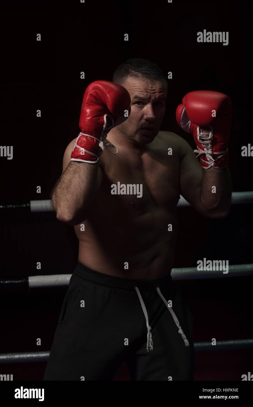 professional kickboxer with hands in martial arts position training for ...