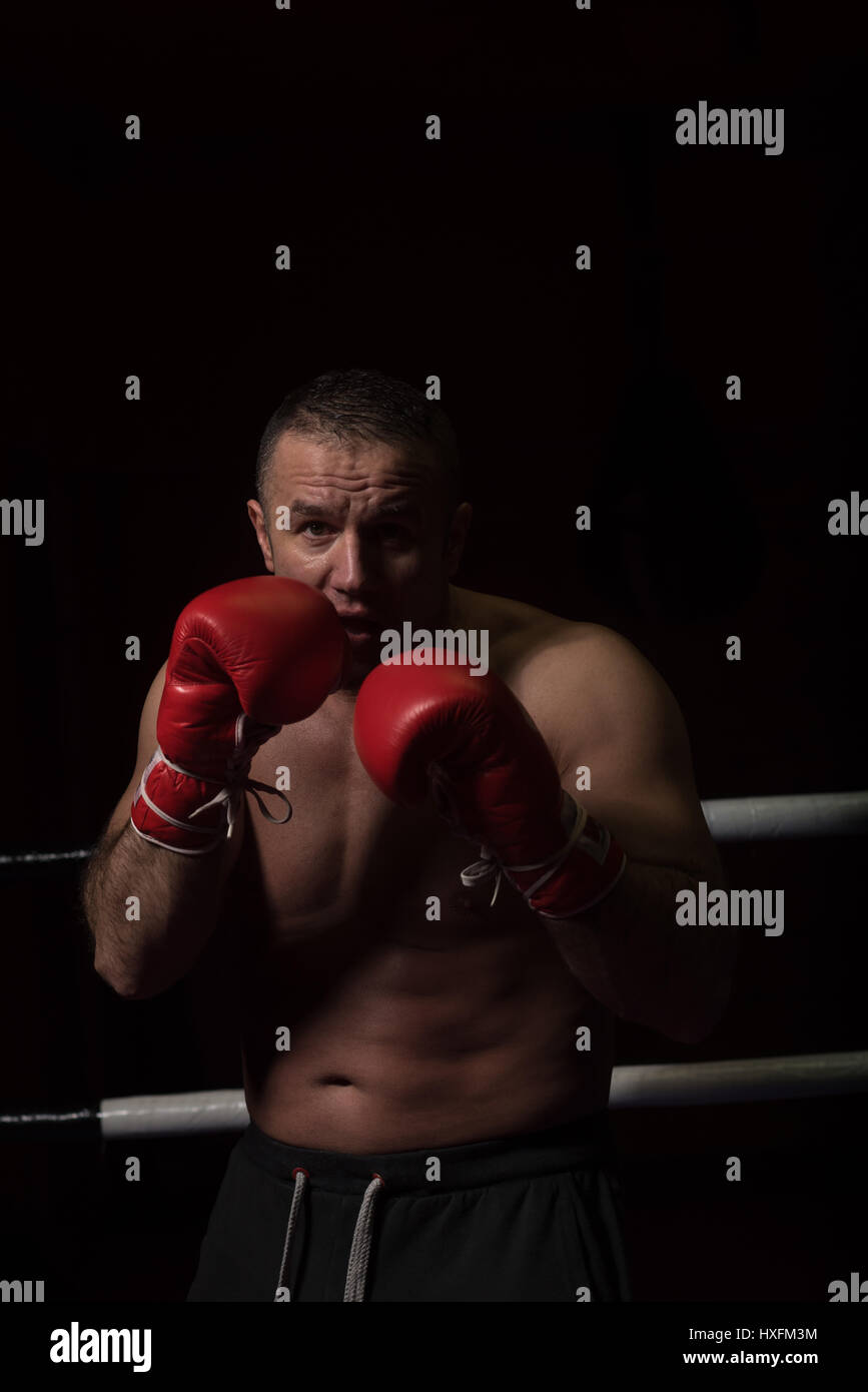 professional kickboxer with hands in martial arts position training for ...