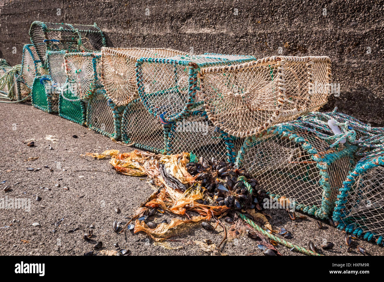 Old cage for lobster on shore in Scotland Stock Photo - Alamy