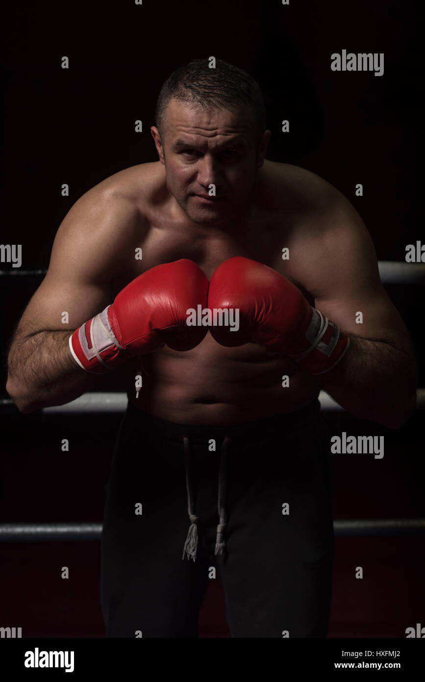 professional kickboxer with hands in martial arts position training for ...