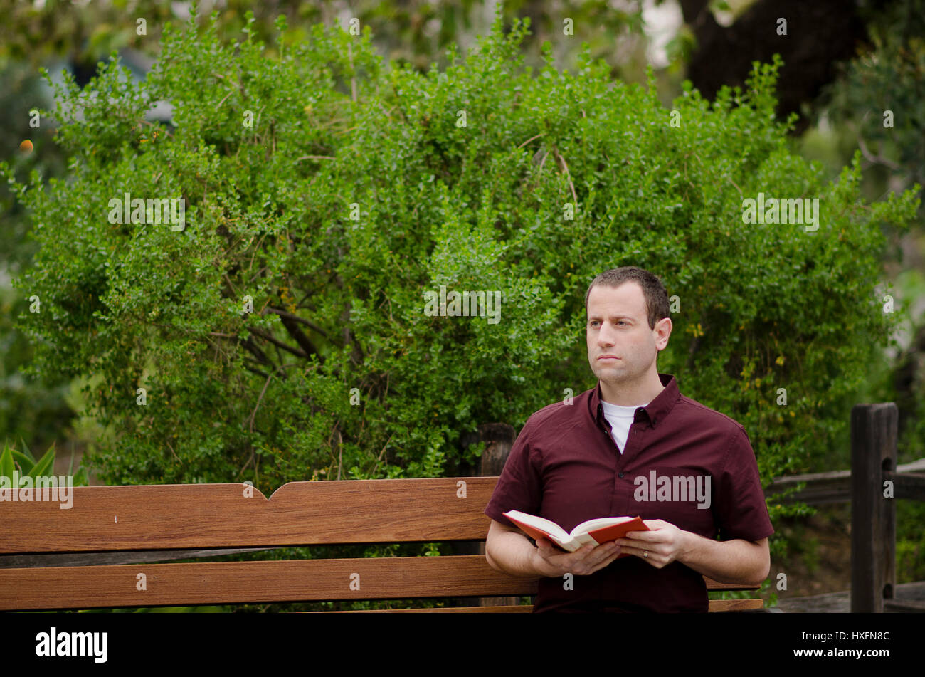 Man sitting on bench reading a book Stock Photo - Alamy