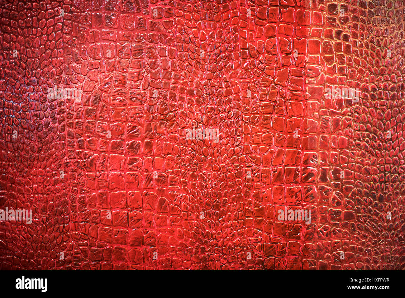 Background texture of red snake skin showing the structure of the ...