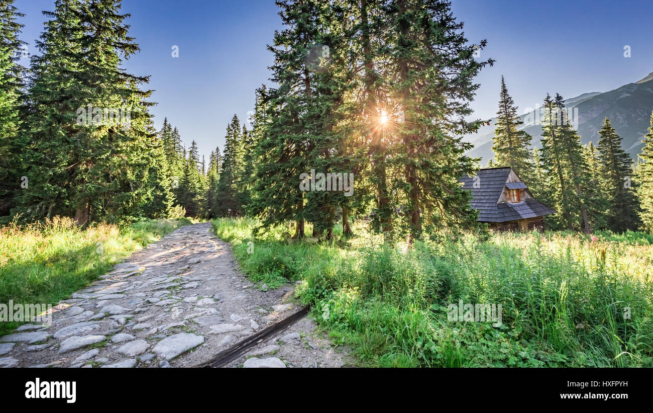 Beautiful mountain trail leading hi-res stock photography and images ...