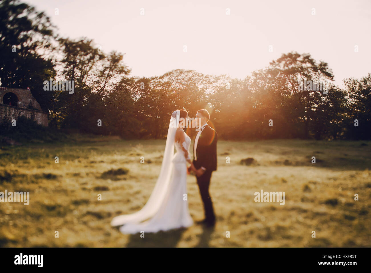 bride and groom Stock Photo - Alamy