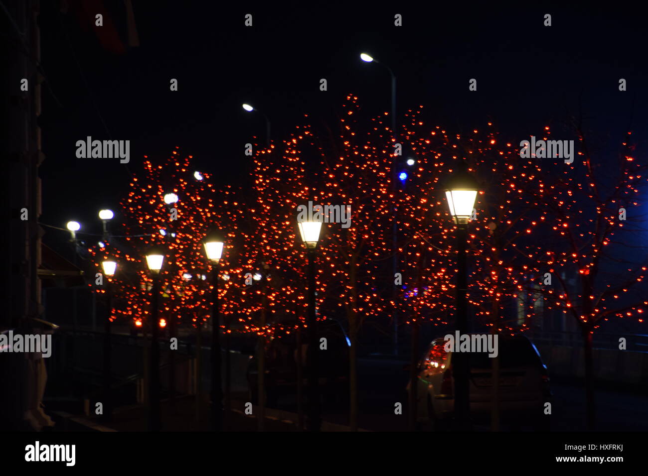 The branches of street trees, adorned with red lights Stock Photo - Alamy