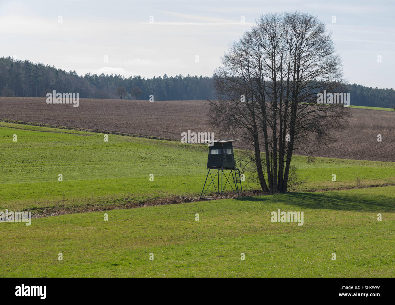 Hunters seat tree hunting hi-res stock photography and images - Alamy