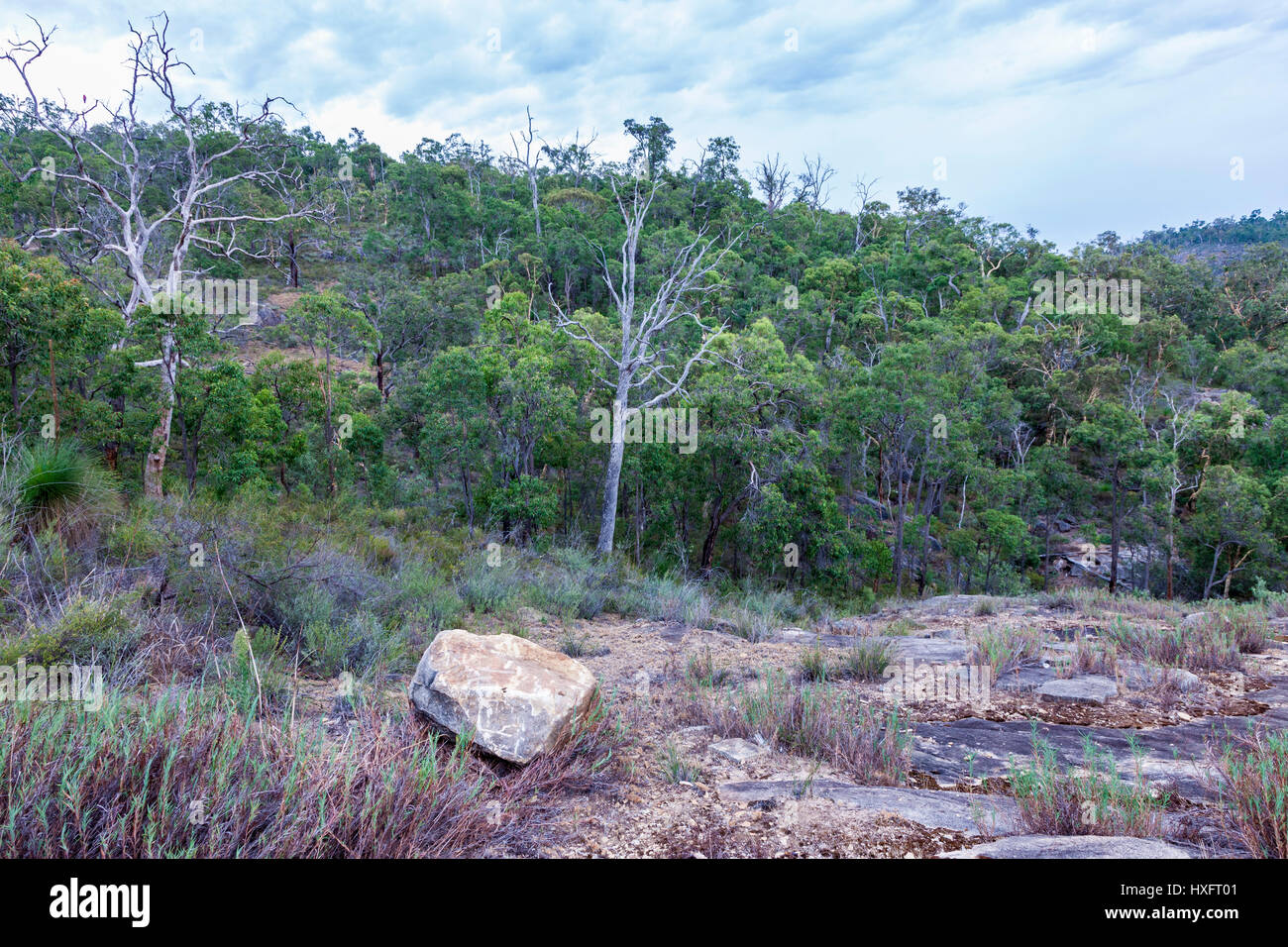 Kalamunda national park hi-res stock photography and images - Alamy