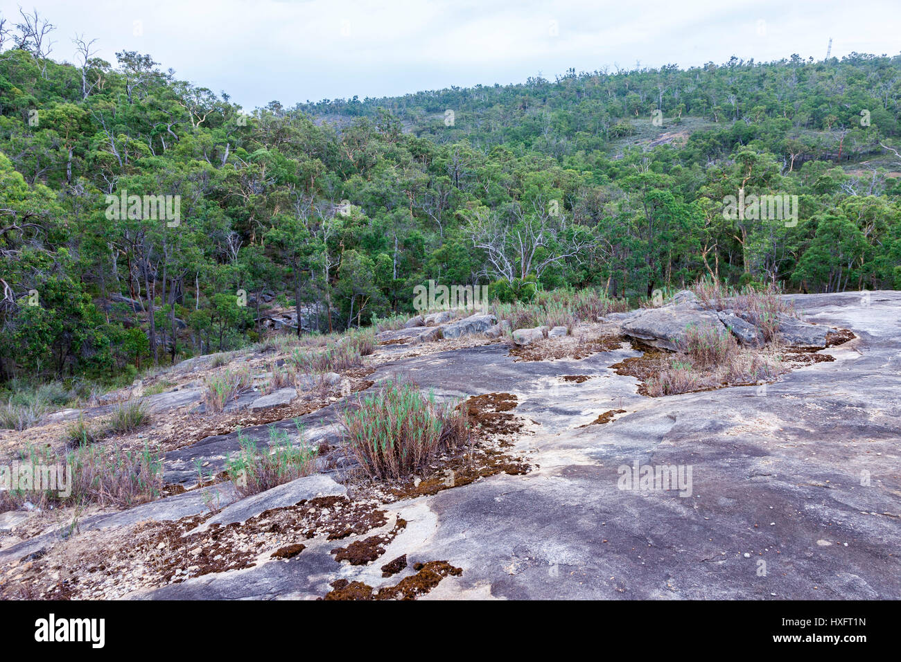 Shire of kalamunda hi-res stock photography and images - Alamy