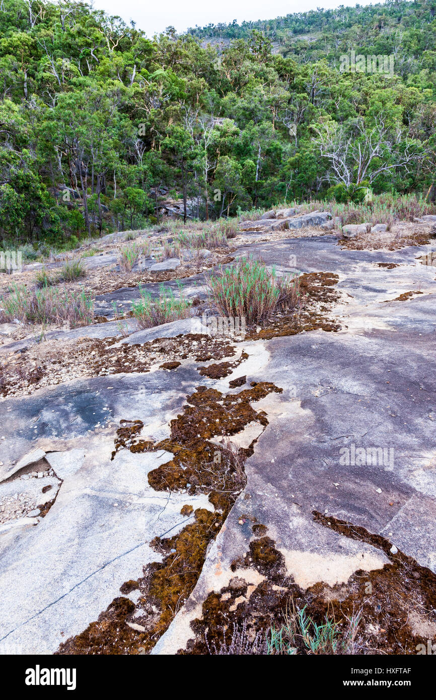 Western Australia. Kalamunda National Park, Piesse Brook Stock Photo ...