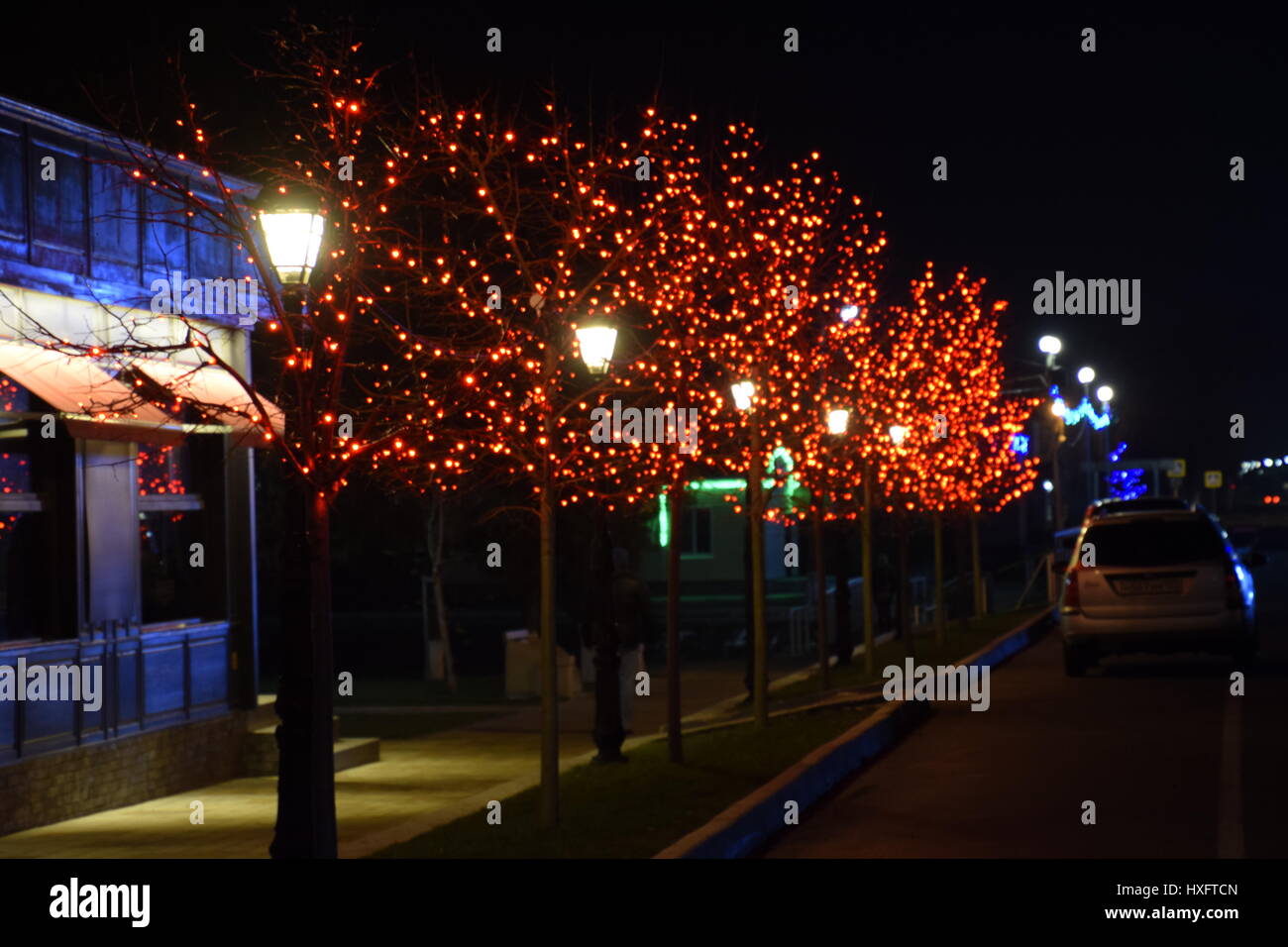 The branches of street trees, adorned with red lights Stock Photo - Alamy