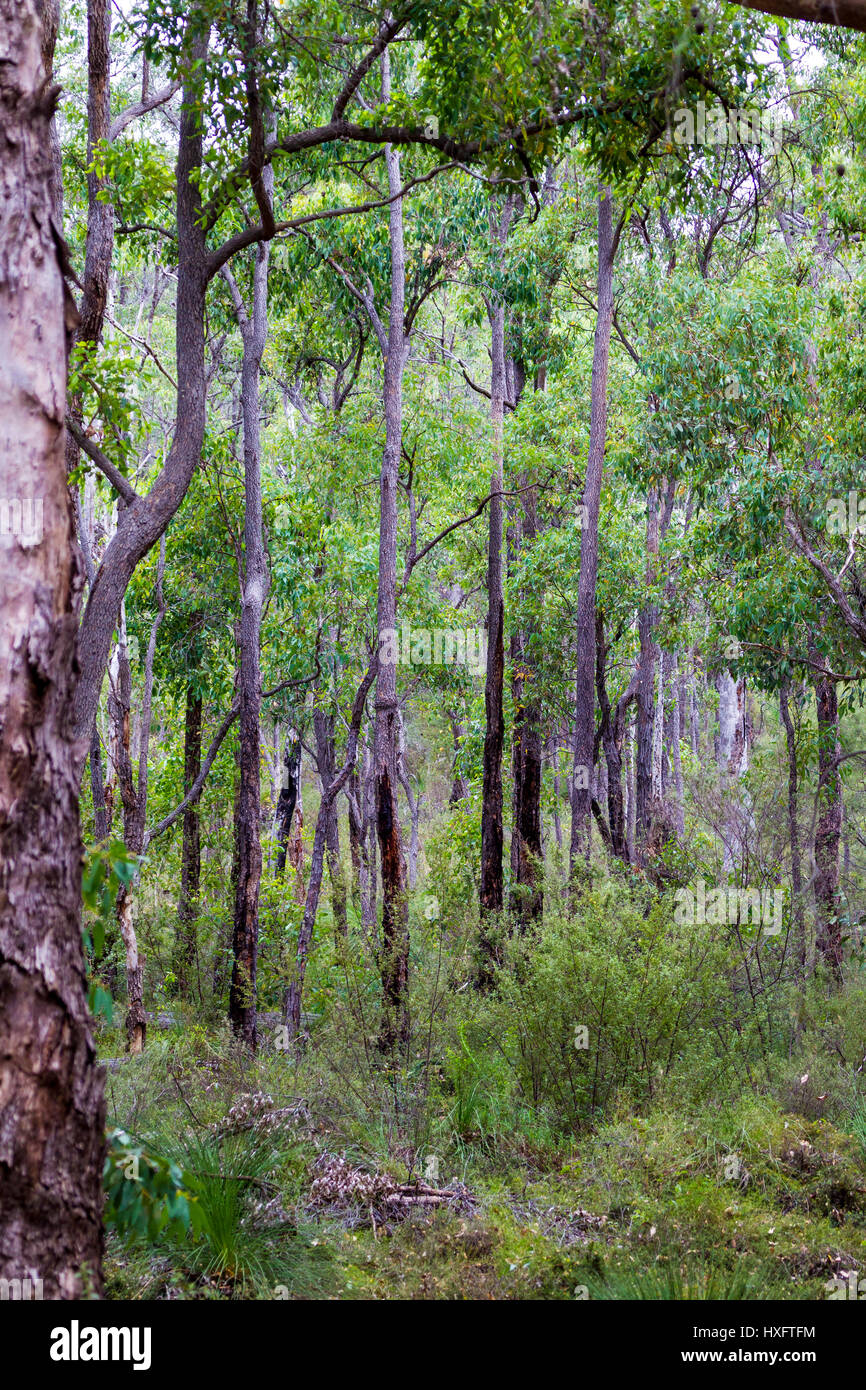 Shire of kalamunda hi-res stock photography and images - Alamy