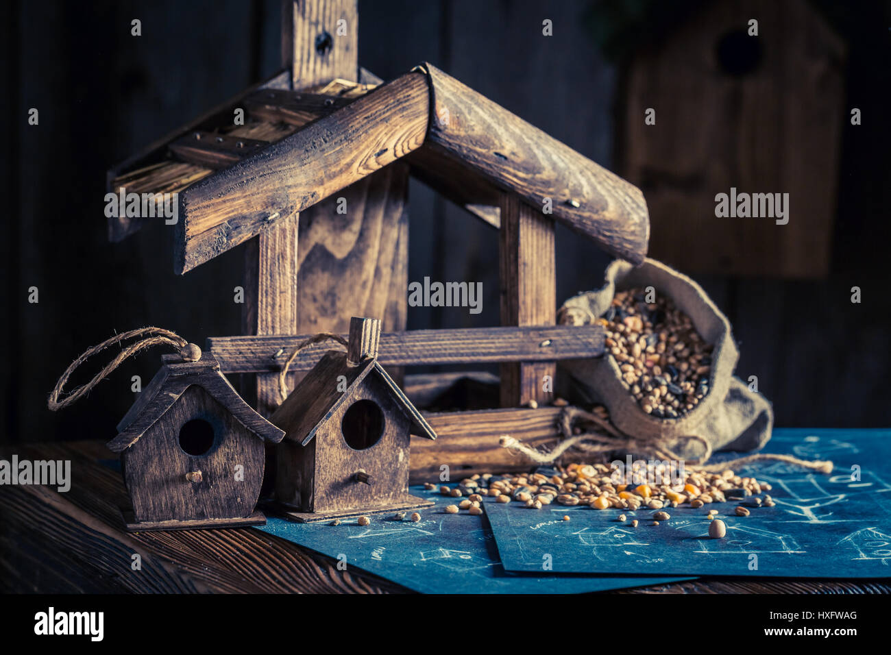 Cute small bird house and construction plan Stock Photo - Alamy