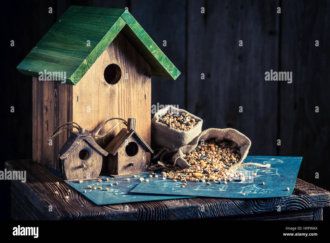 Project of small bird feeder and construction plan Stock Photo - Alamy