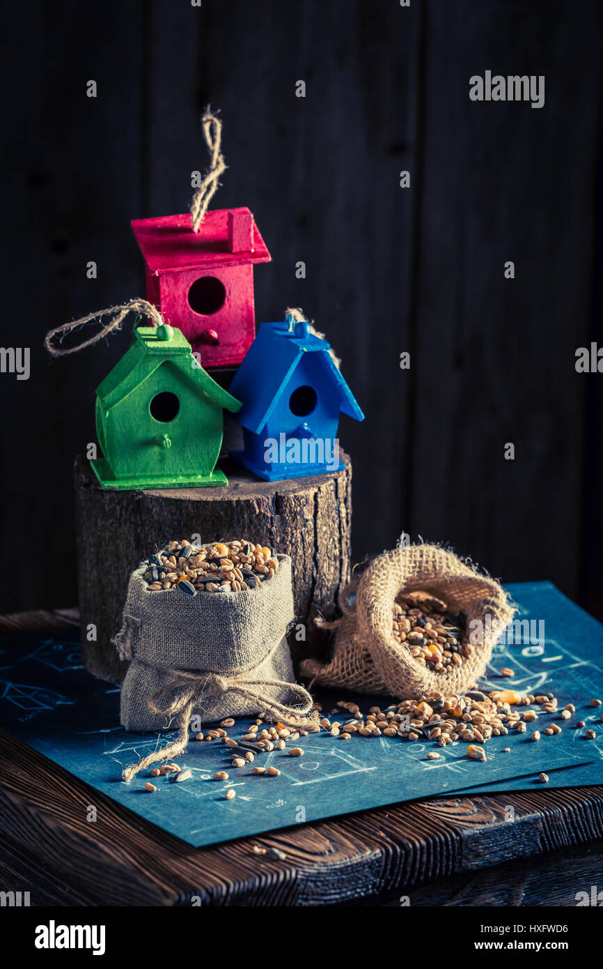Project of small bird house and plan to build it Stock Photo - Alamy
