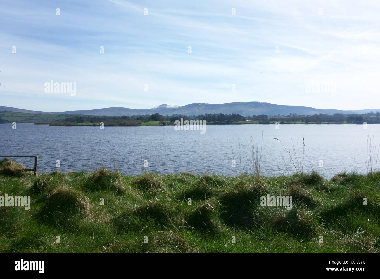 Blessington lake in co wicklow hi-res stock photography and images - Alamy