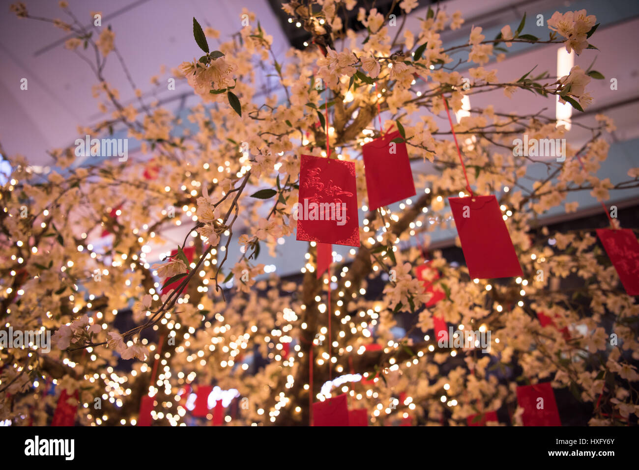 red cards with messages on the traditional Japanese wishing tree Stock ...