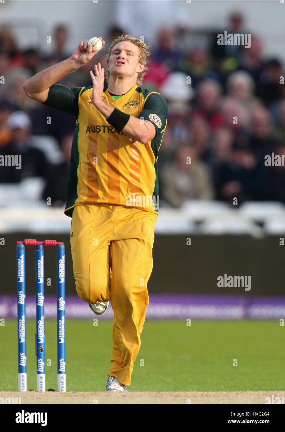 Shane Watson Wallpapers 2024