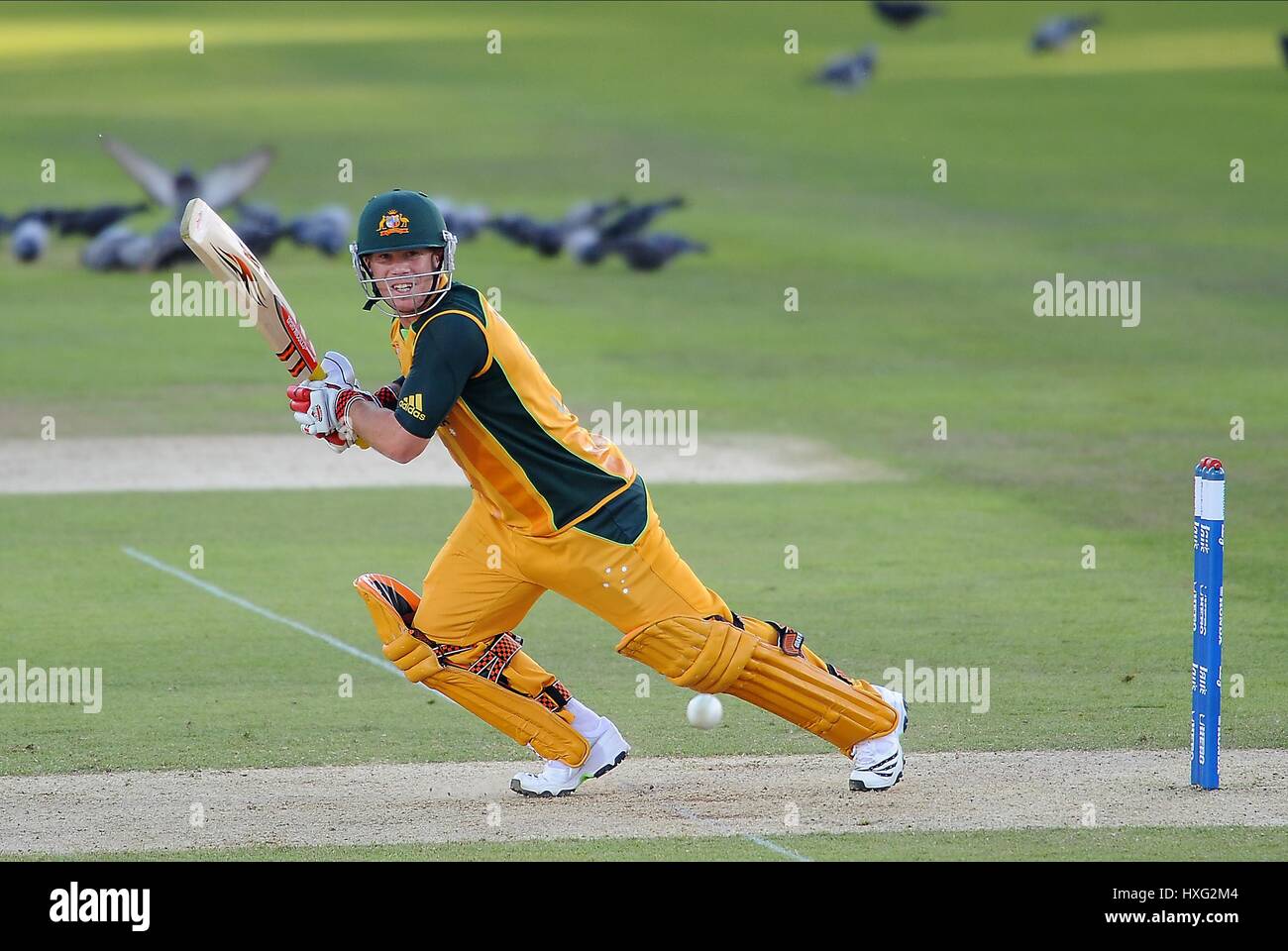 David warner hi-res stock photography and images - Alamy