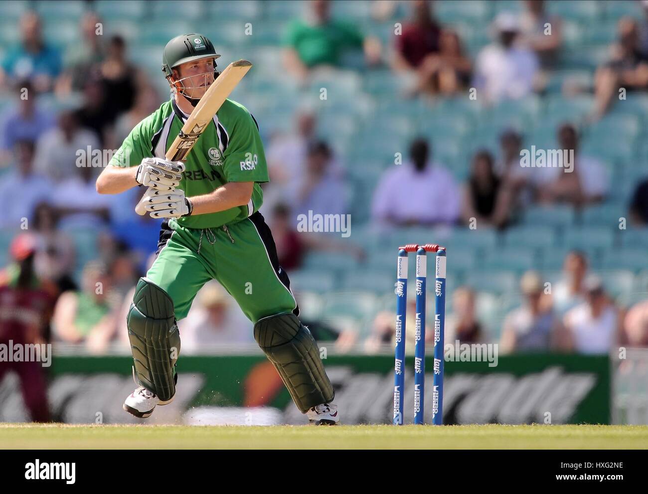 ANDREW WHITE IRELAND THE OVAL LONDON ENGLAND 02 June 2009 Stock Photo ...