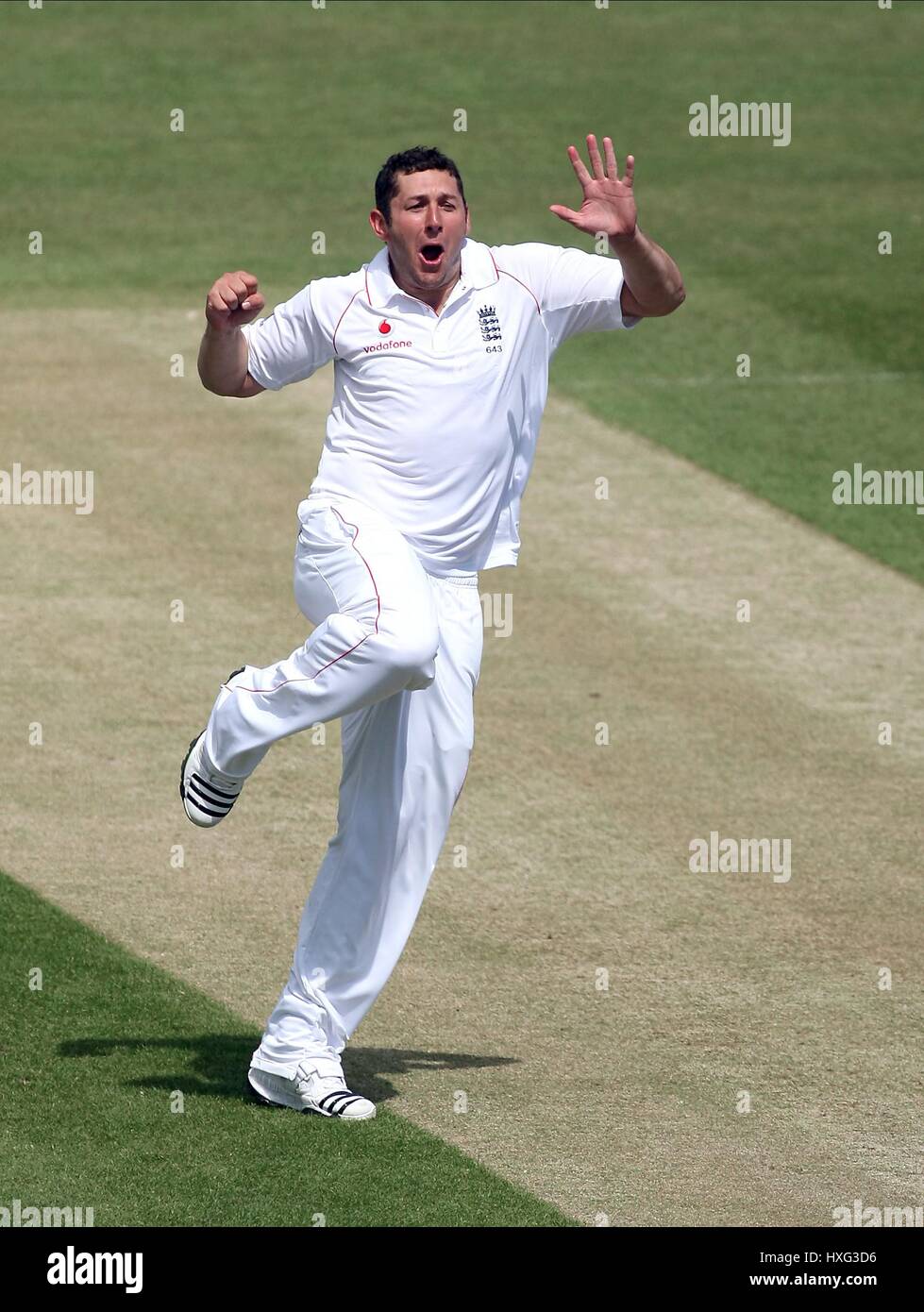 TIM BRESNAN CELEBRATES TAKING ENGLAND V WEST INDIES 2ND NPOW THE ...