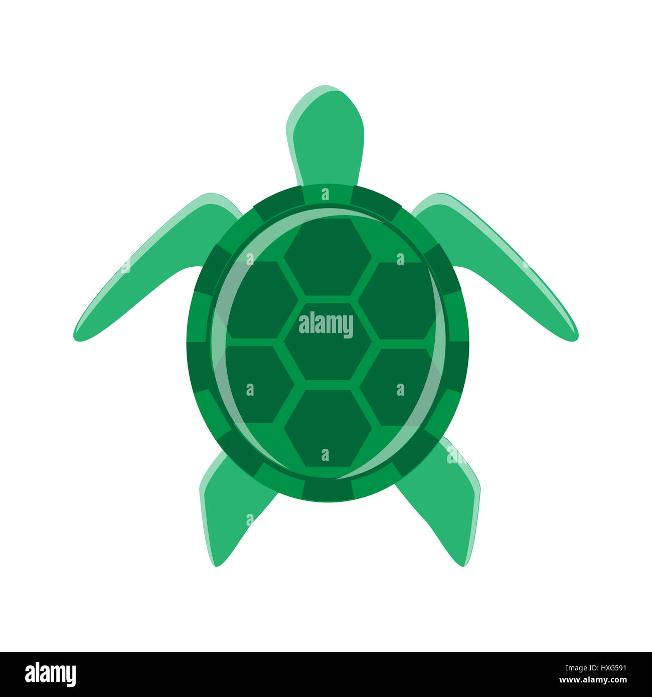 Minimal turtle illustration Stock Photo - Alamy