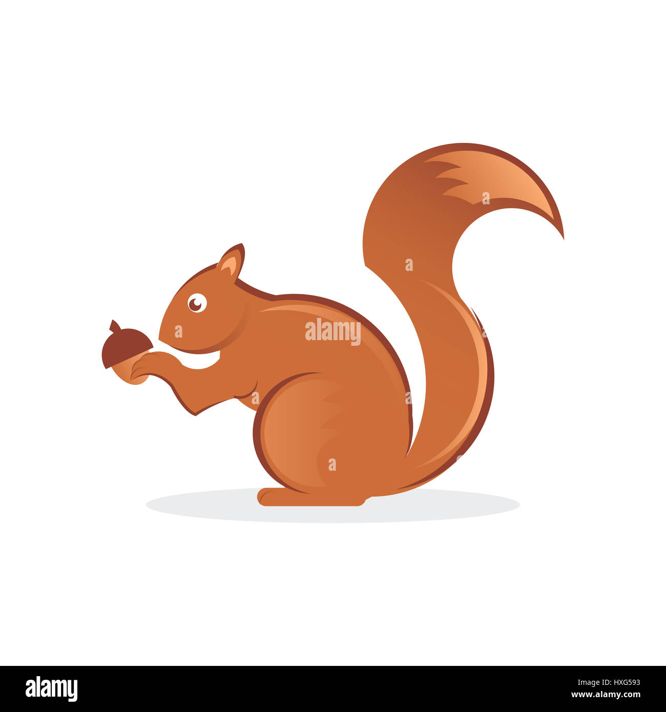 Squirrel eating nut icon hi-res stock photography and images - Alamy