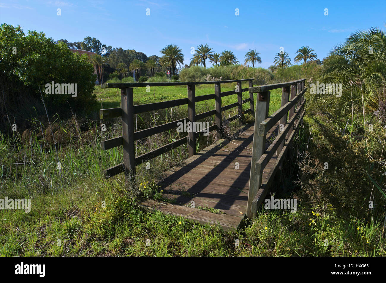 Footbridge in a natural park Stock Photo - Alamy