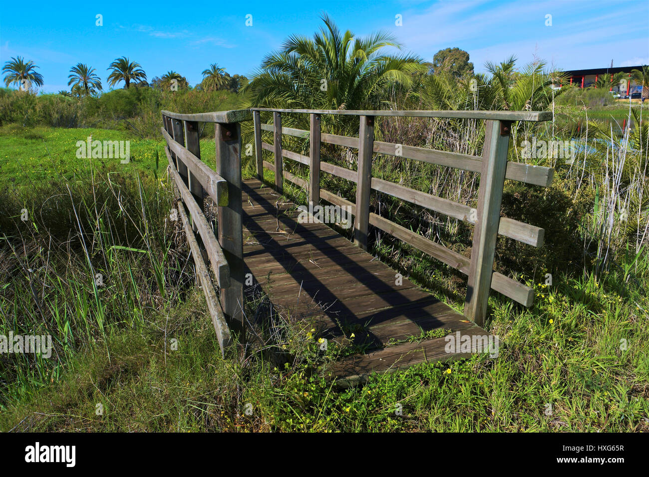 Footbridge in a natural park Stock Photo - Alamy