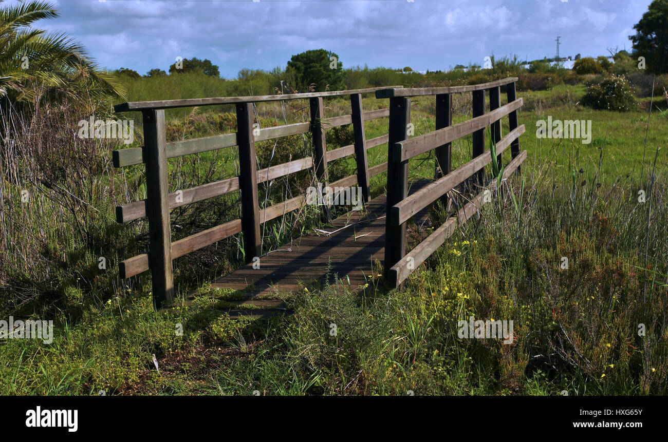 Footbridge in a natural park Stock Photo - Alamy