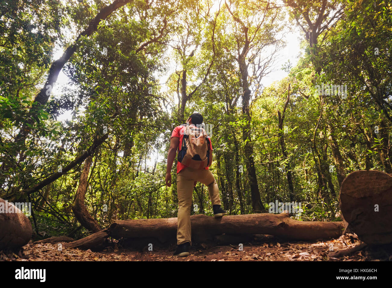 Young man hiking in majestic landscape in forest Stock Photo - Alamy