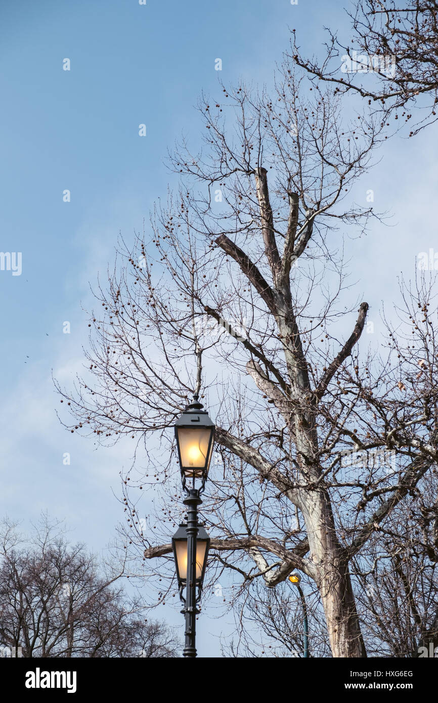 Central park lamp post hi-res stock photography and images - Alamy