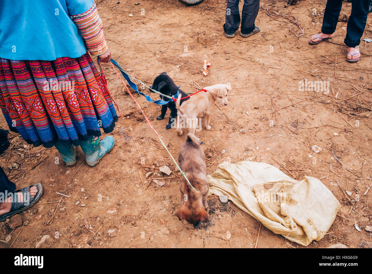 Selling dogs at the Can Cau market in Sapa, north of Vietnam Stock ...