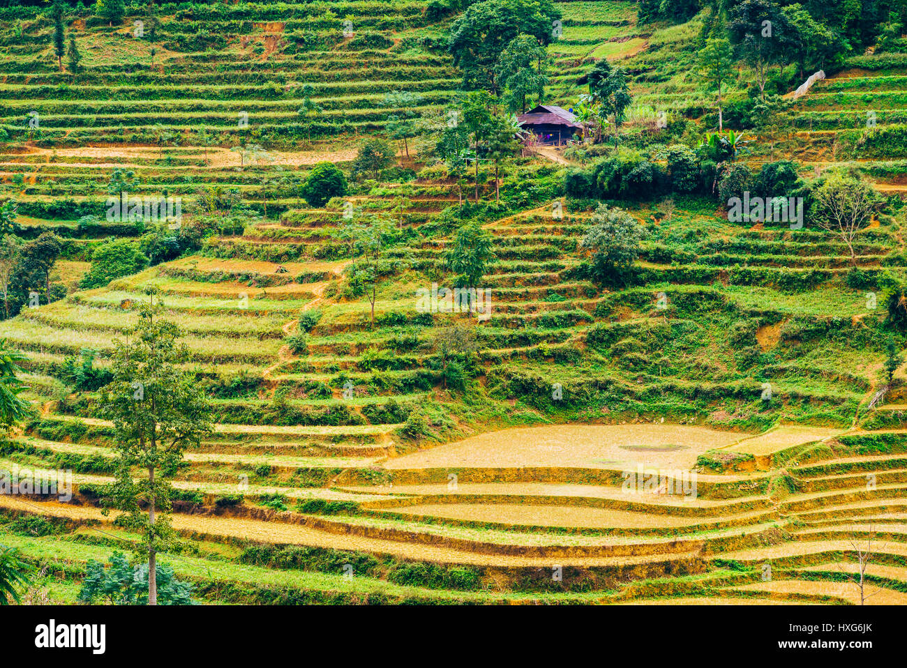 Wonderful landscapes from Sapa region in the north of Vietnam Stock ...