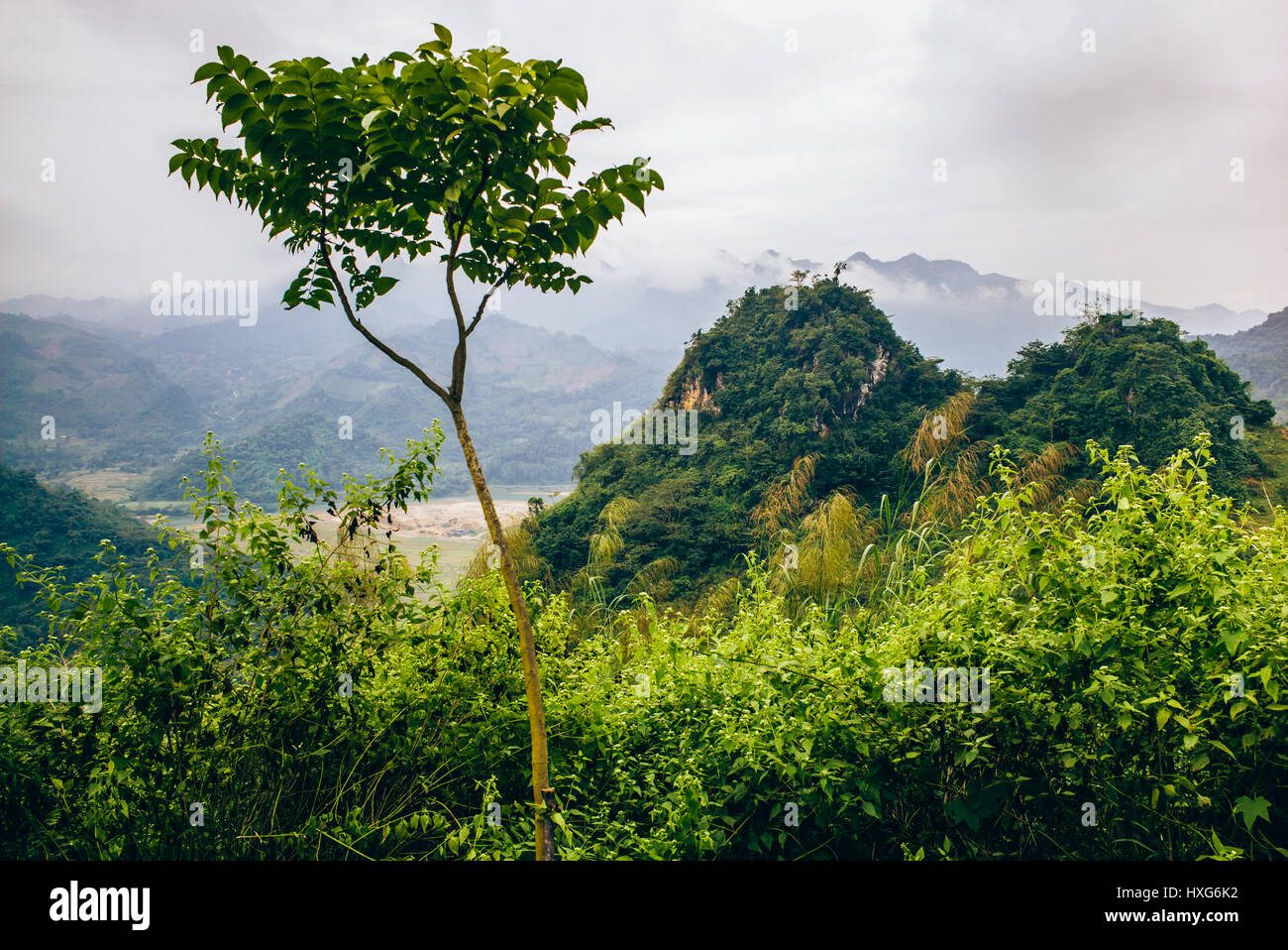 Wonderful landscapes from Sapa region in the north of Vietnam Stock ...