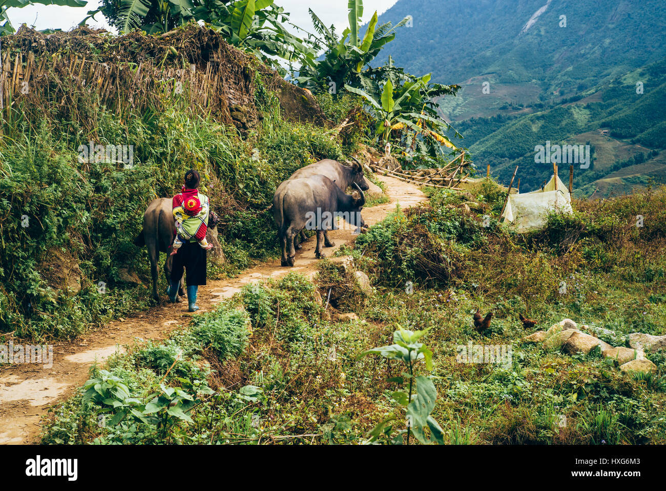 Wonderful landscapes from Sapa region in the north of Vietnam Stock ...