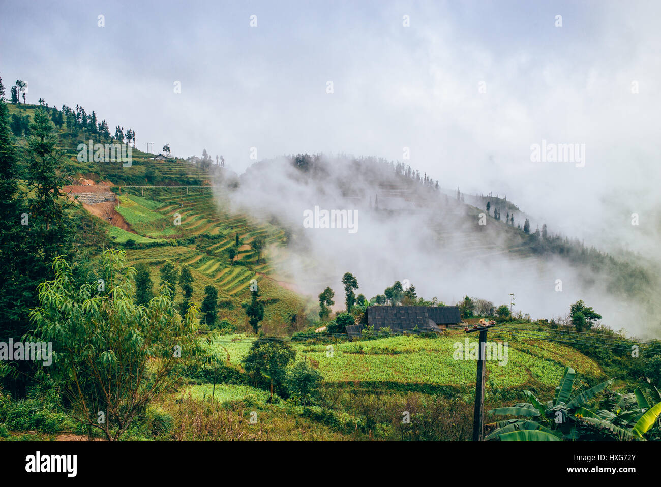 Wonderful landscapes from Sapa region in the north of Vietnam Stock ...