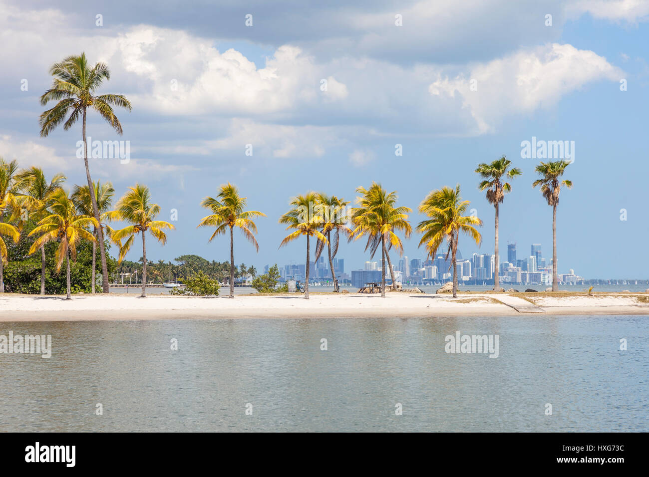 Beautiful tropical beach in Miami, Florida, United States Stock Photo ...