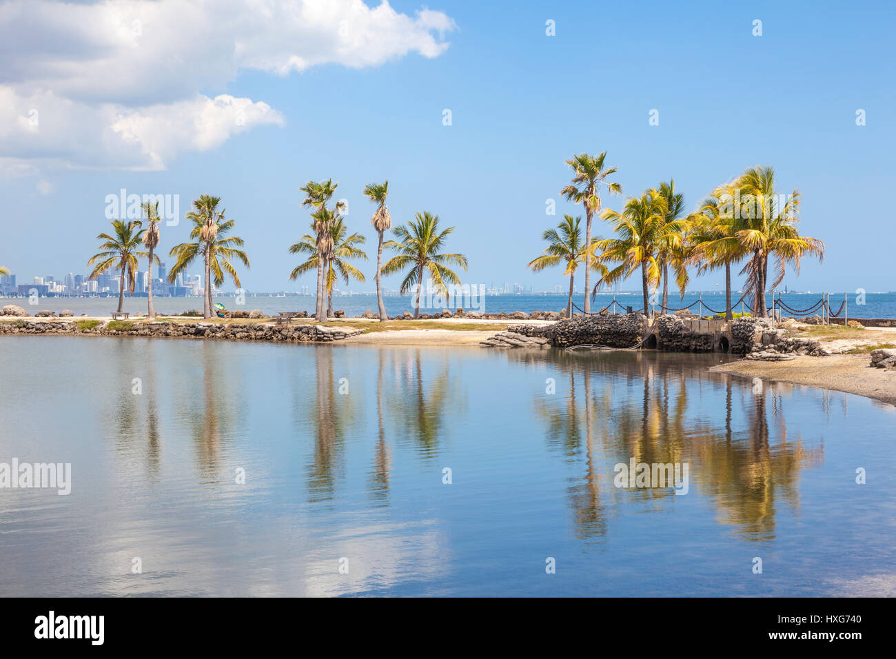 Miami tropical park hi-res stock photography and images - Alamy