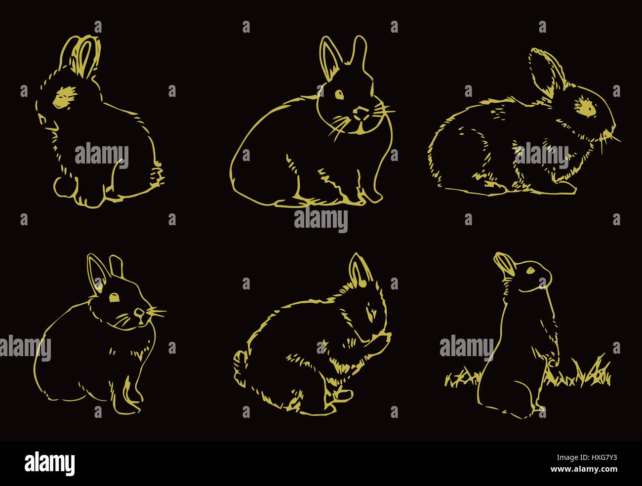 Vector set of rabbits Stock Photo - Alamy Vector set of rabbits Stock Photo - Alamy