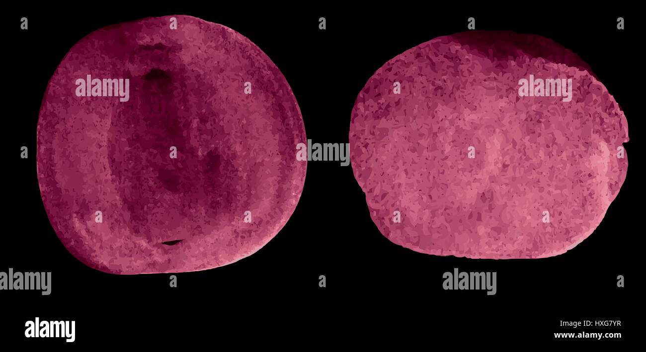 Vector set of painted circle spots Stock Photo - Alamy
