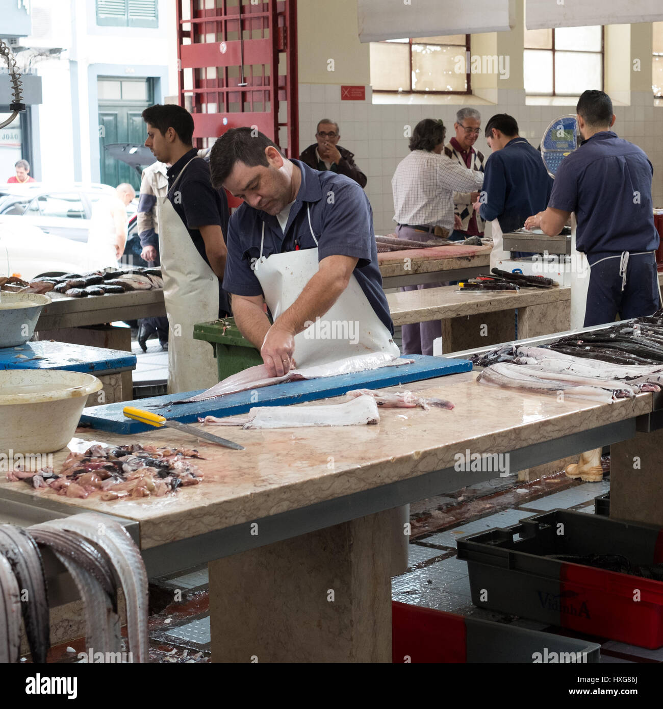 Black scabbard fish hi-res stock photography and images - Alamy