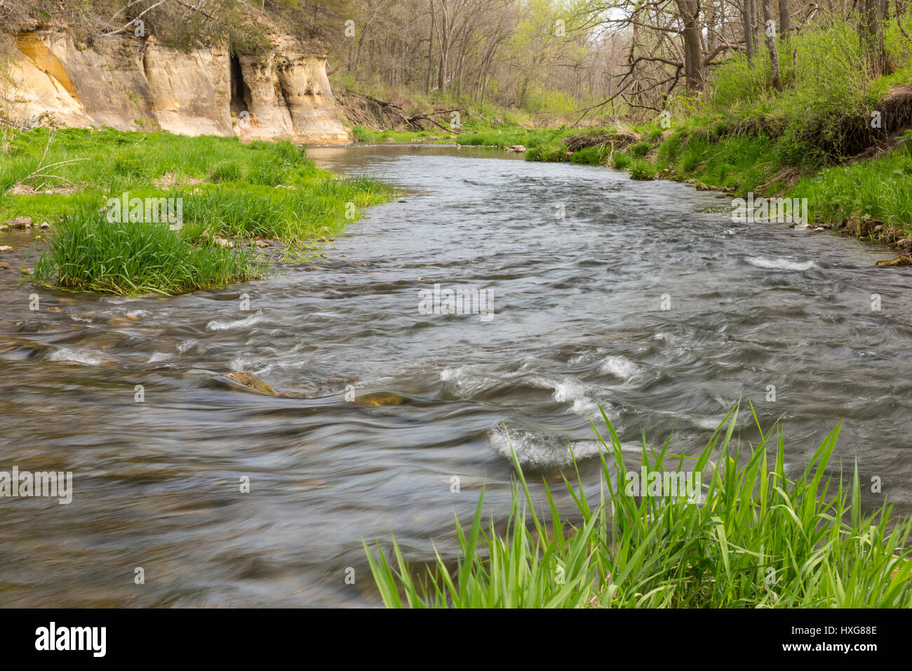 River In The Woods In Spring Stock Photo - Alamy