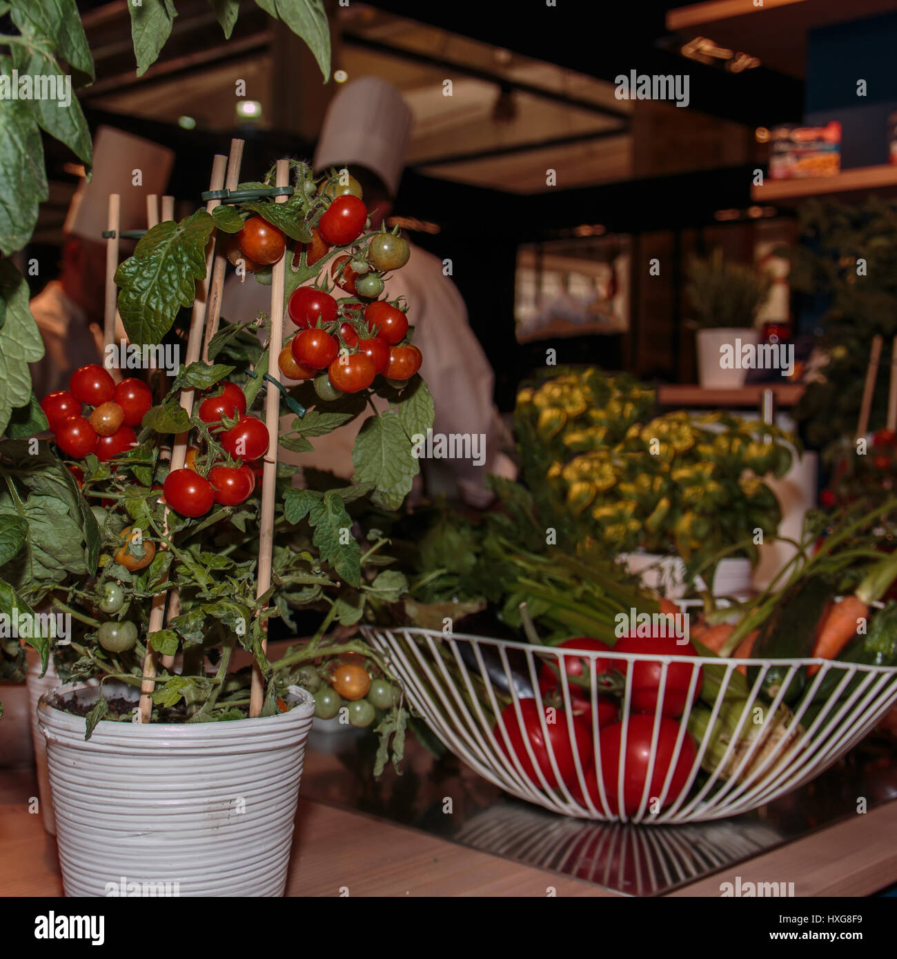Tomatoes Plant in White Vase inside Restaurant with Chef Stock Photo ...