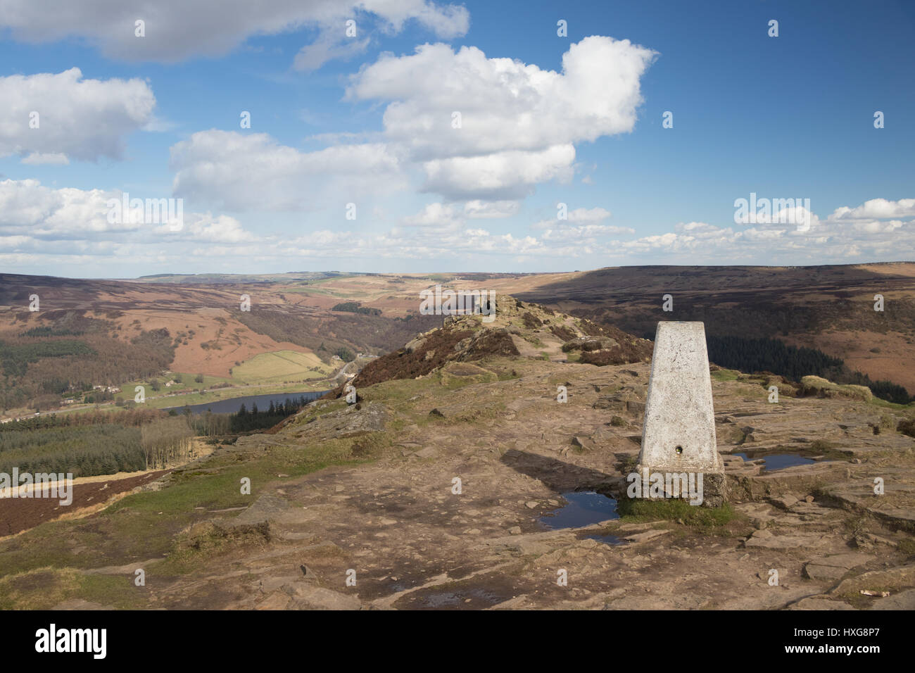 Winhill plantation hi-res stock photography and images - Alamy