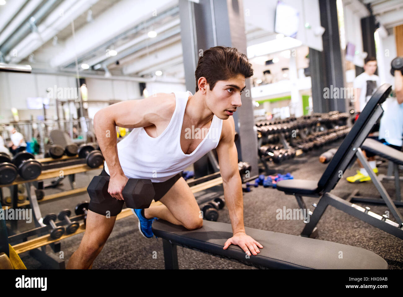 Young hispanic fitness man in gym on bench, working out with weights ...