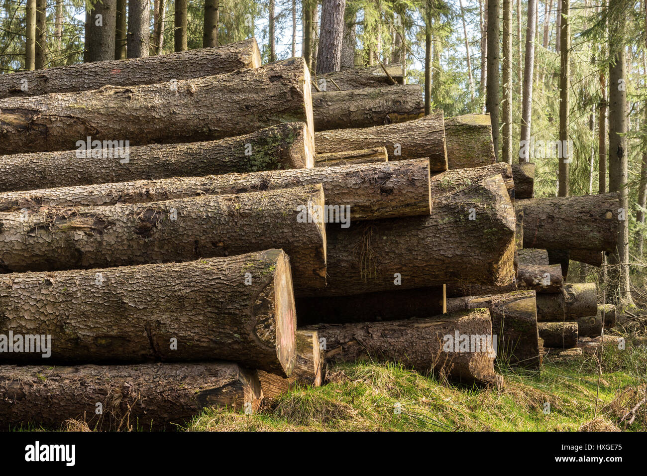 Photo of a stack of natural wooden logs Stock Photo - Alamy